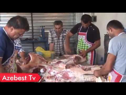 Maya ve Feqanin toyu