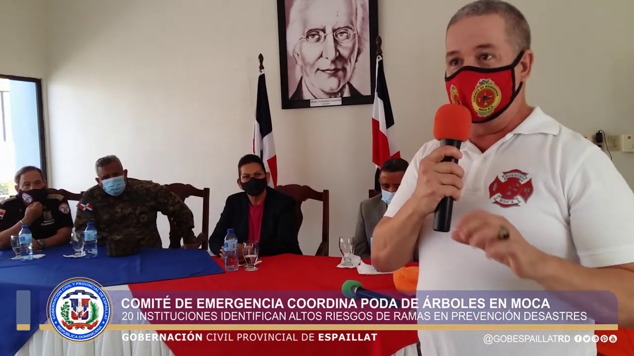 COE COORDINA PODA DE ARBOLES EN MOCA - YouTube