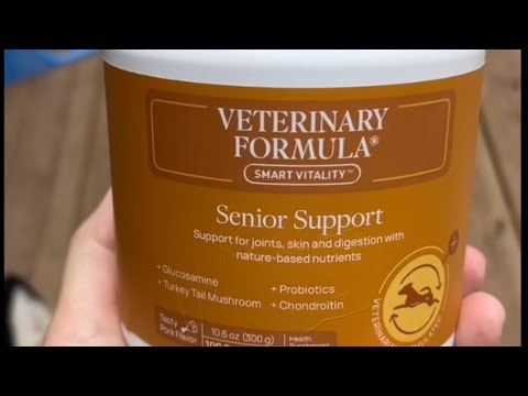 Best Joint Supplements for Senior Dogs