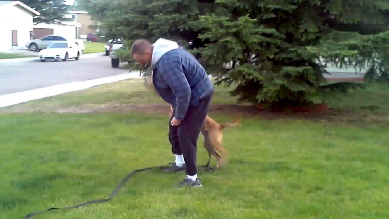 Gator bite video_1 - YouTube