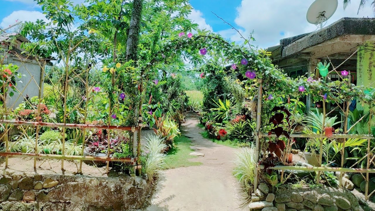 MAGANDANG GARDEN IDEAS NG PLANTITANG MANG IITIK//COUNTRYSIDE GARDEN ...