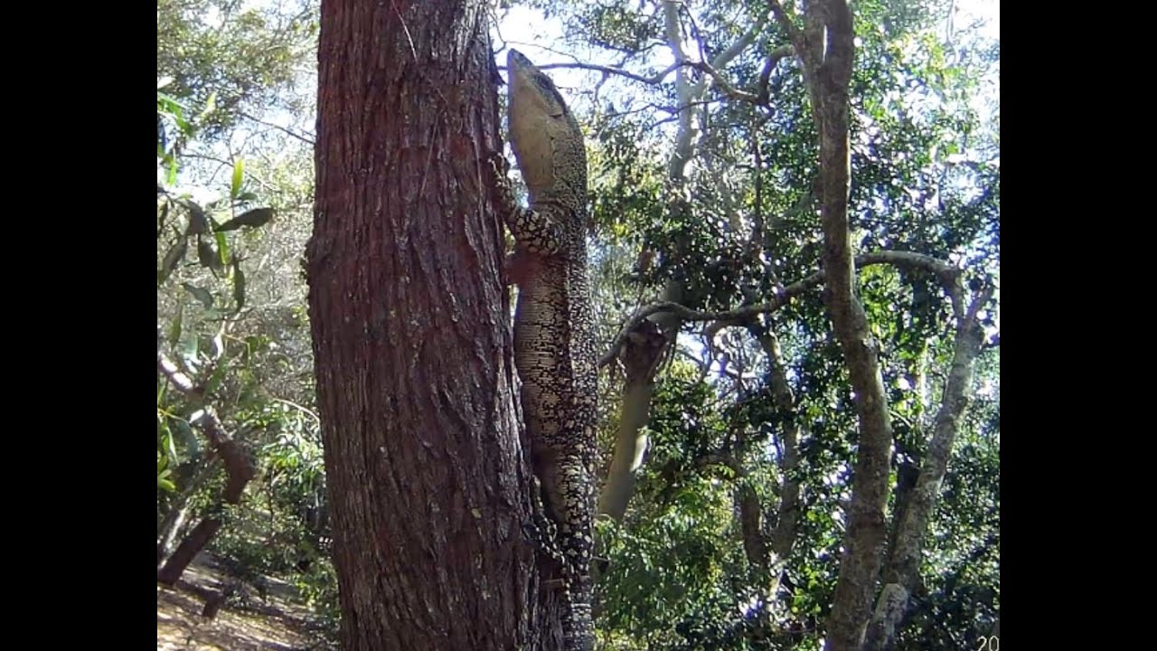 Exploring Deepwater National Park: Queensland's Natural Gem - YouTube