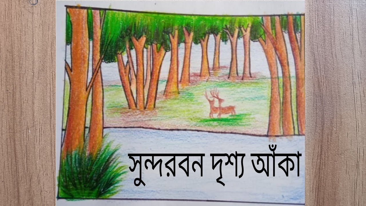 সুন্দরবনের দৃশ্য আঁকা/sundarban aka/how to draw a forest scenery ...