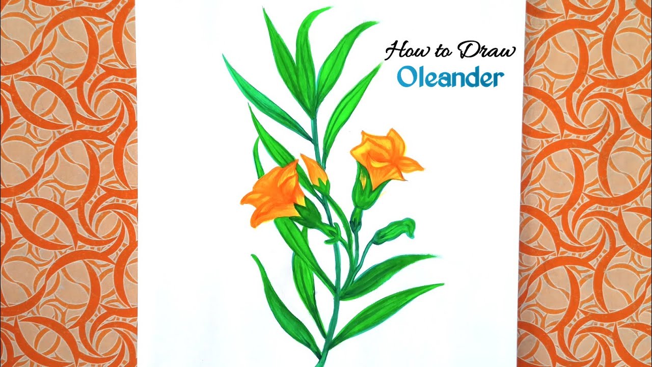 Kaner Flower Drawing With Leaf / Yellow Oleander Flower Drawing/ कनेर ...