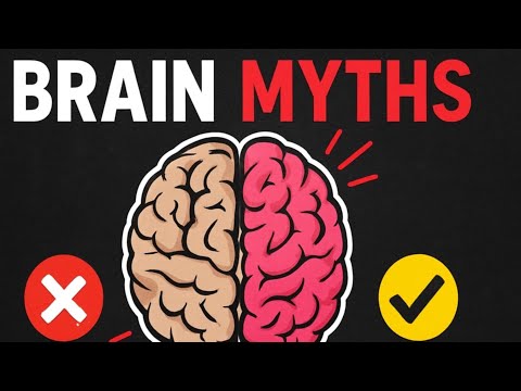 Do We Really Use Only 10% of Our Brain? (Brain Myths Explained)