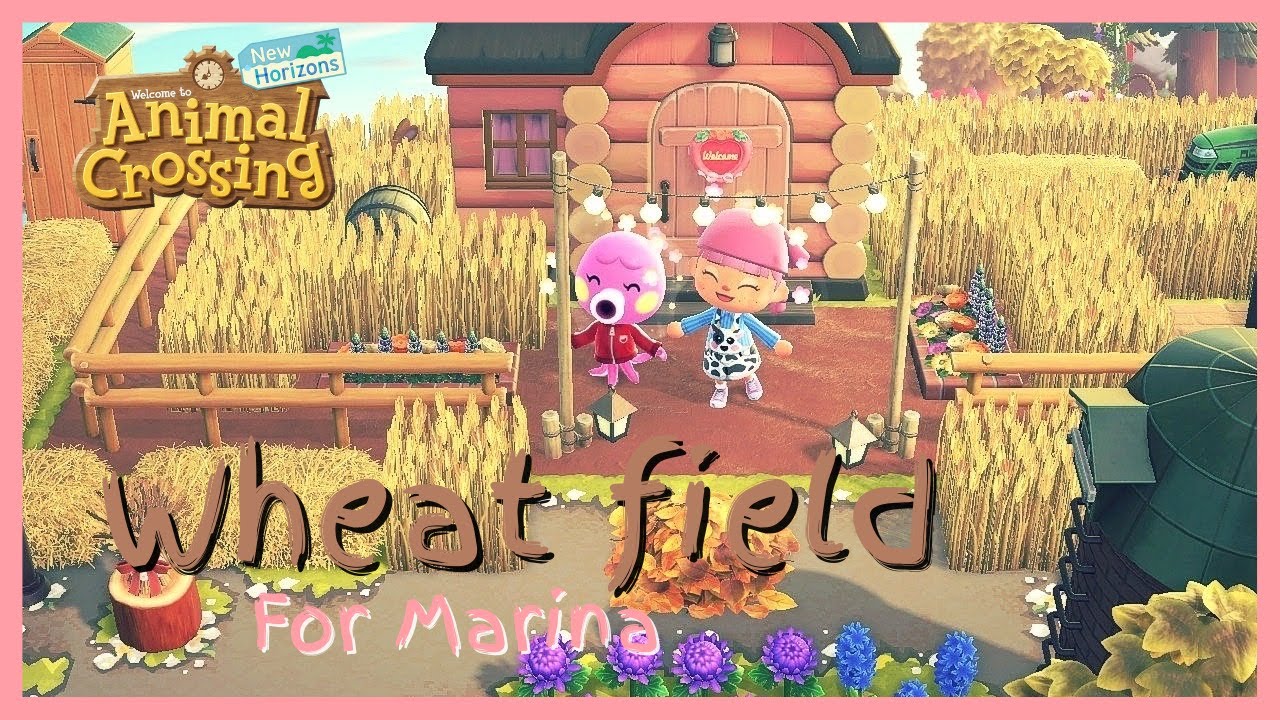 Building a wheat farm! Animal Crossing New Horizon's - YouTube