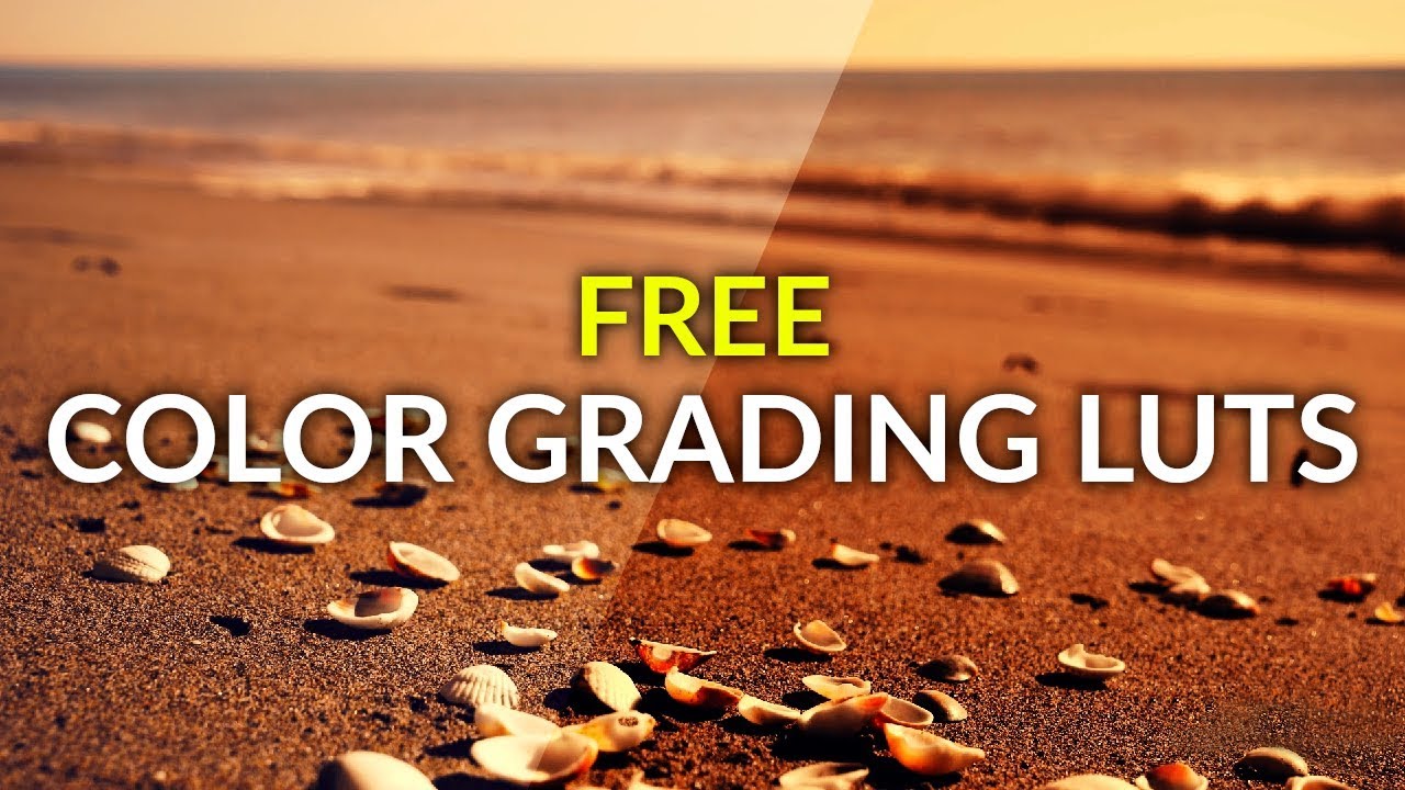 Summer Color Grading LUTS | Davinci Resolve | FREE DOWNLOAD - YouTube