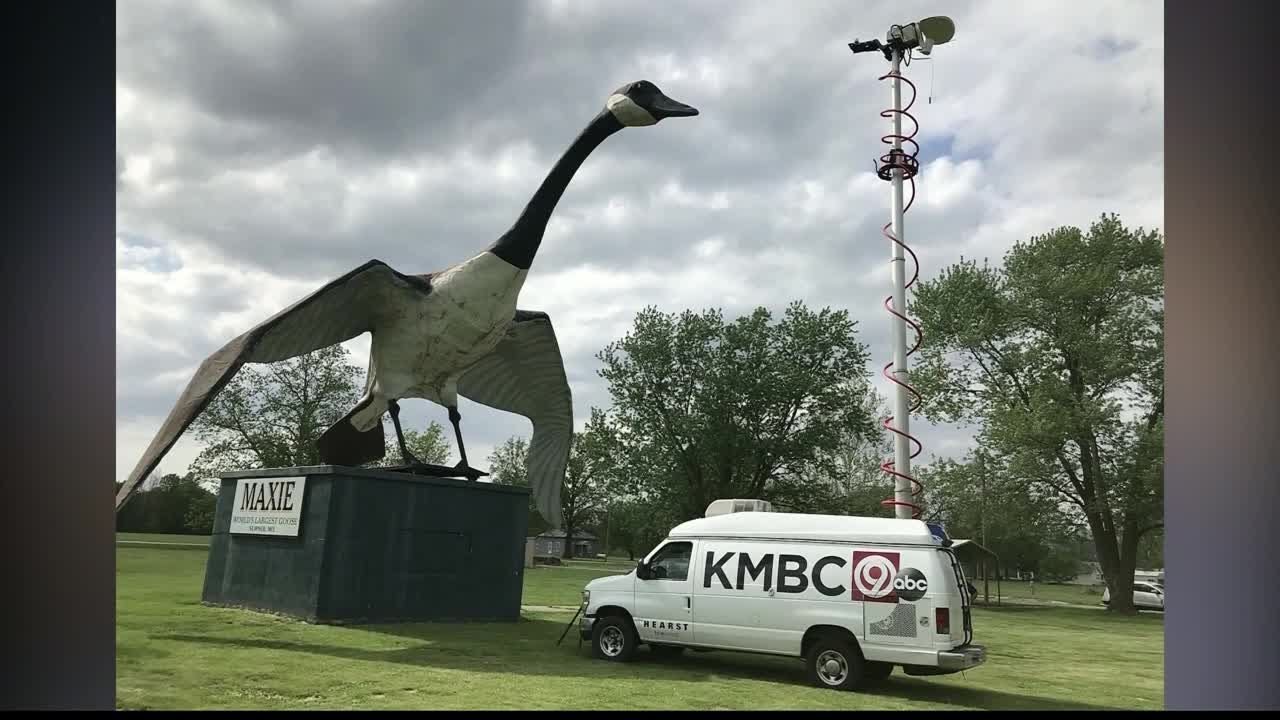 Effort underway to restore massive goose in Sumner, Missouri - YouTube