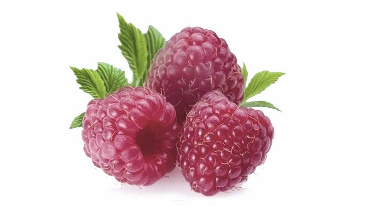 RASPBERRY | ASL - American Sign Language - YouTube