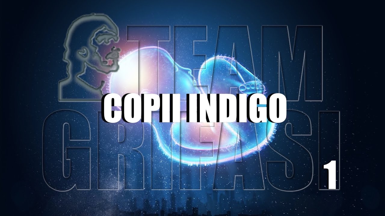 43-RO Elena, Ciclul Investigativ 85, Protocol 1: COPII INDIGO - Carmen ...