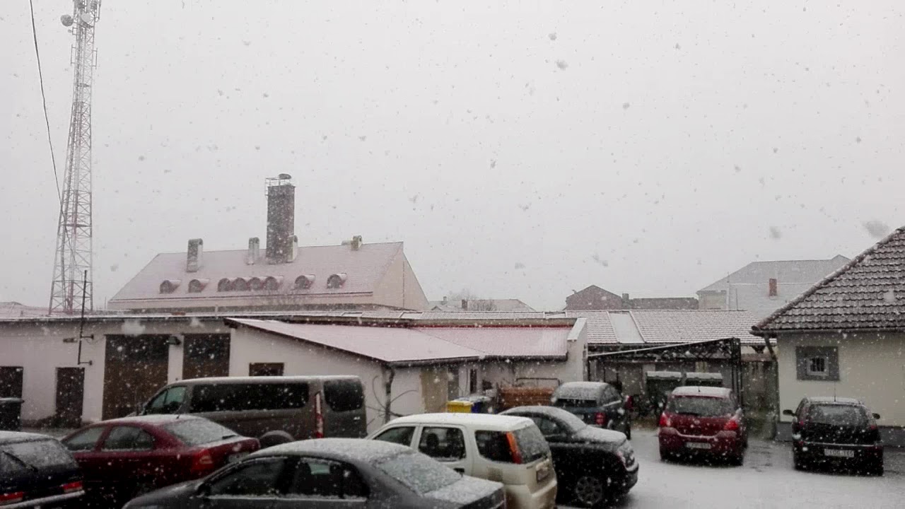 Intense Snowfall with big snowflakes - YouTube