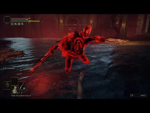 Elden Ring Shadow The Blaidd Dog (No Hit) - YouTube