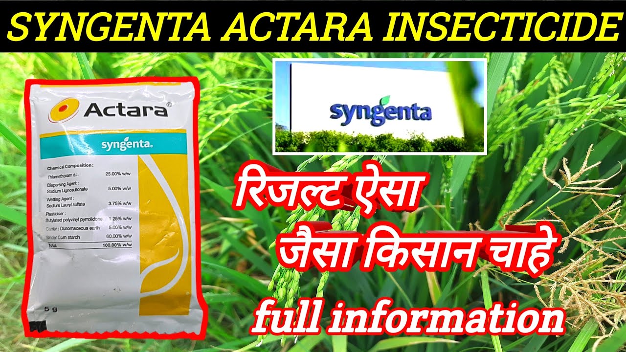 Actara Insecticide | Thiamethoxam 25%WG | Syngenta actara|actara ...
