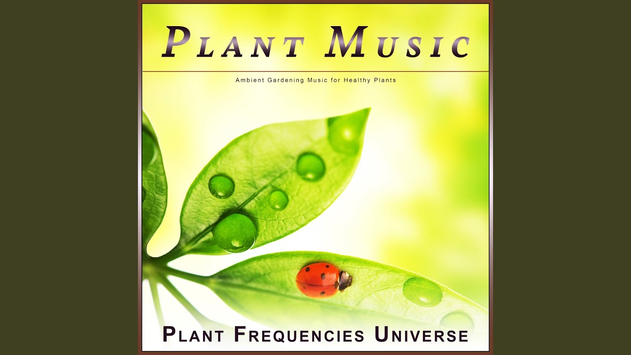 Plant Music - YouTube Music