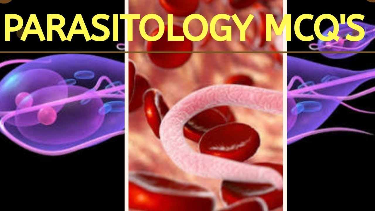 Mcq s on Parasitology - YouTube