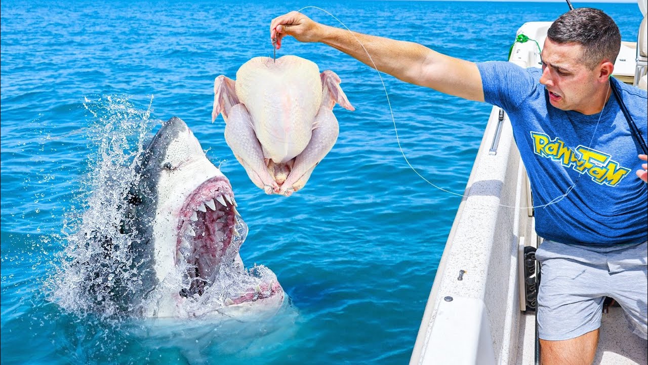 Video – RawwFishing