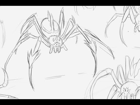 Arachnid Spider Study!!?? - How to Draw - Real Time~! - YouTube