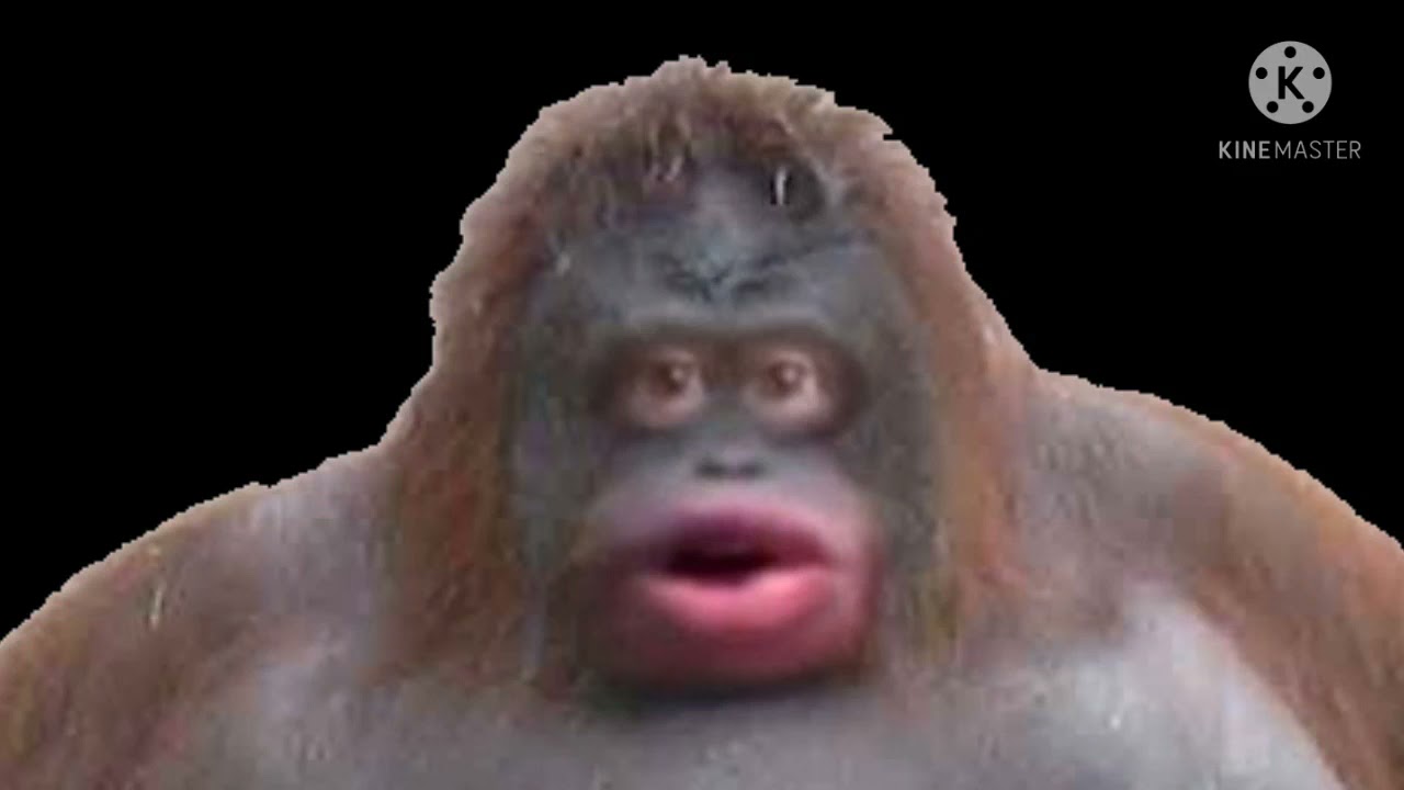 Big Fard Sound Effect For 1 Hour [300 Subbies Special😳] - YouTube