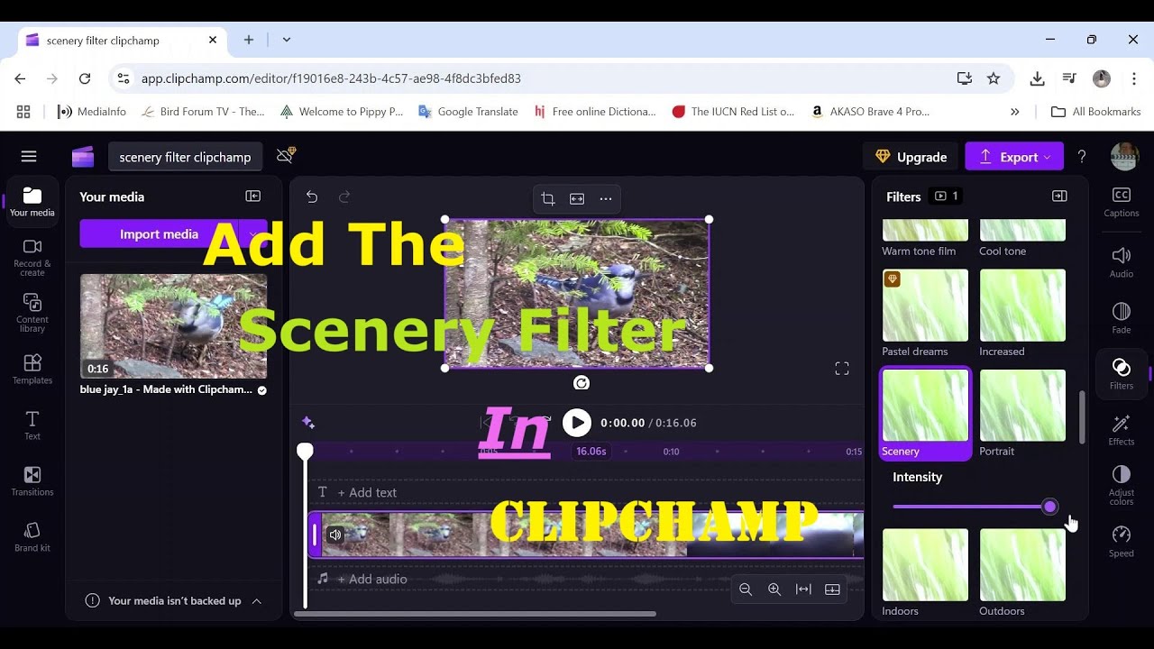 Add The Scenery Filter In Clipchamp - YouTube