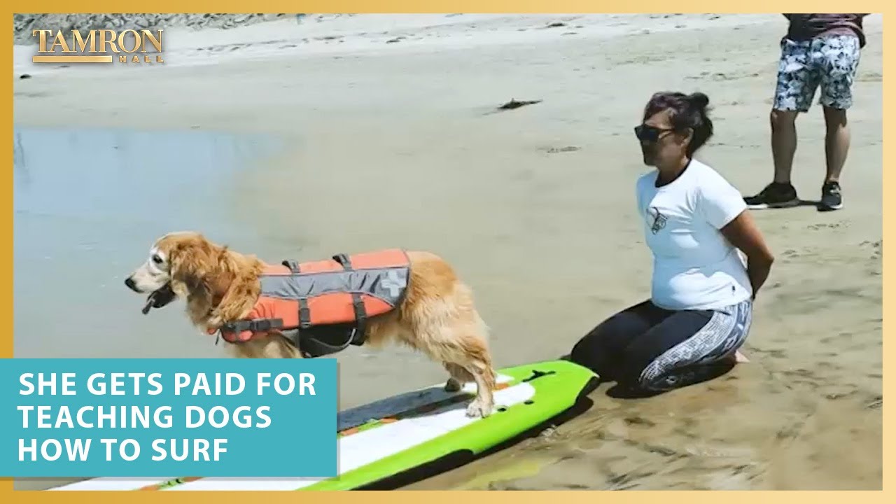 She Gets Paid for Teaching Dogs How to Surf - YouTube