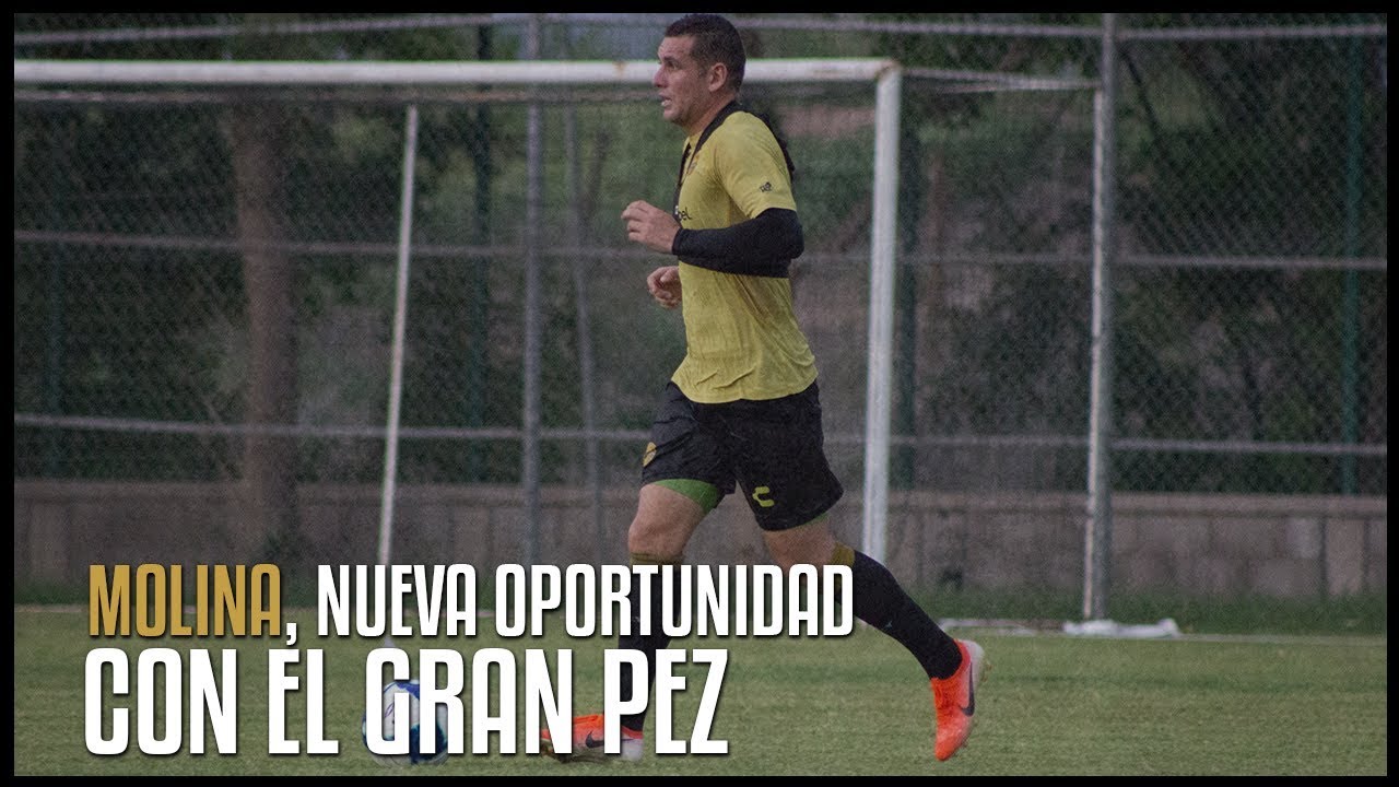 ALEJANDRO MOLINA, UNA NUEVA OPORTUNIDAD EN EL GRAN PEZ - YouTube