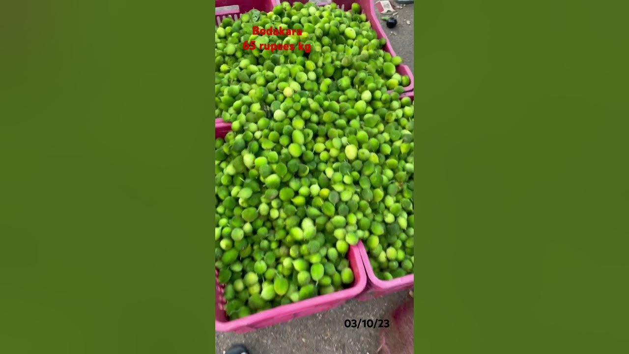 Bodakara | Bowenpally vegetable market #vegetables #viral #vlog #farmer #video #food #food # ...