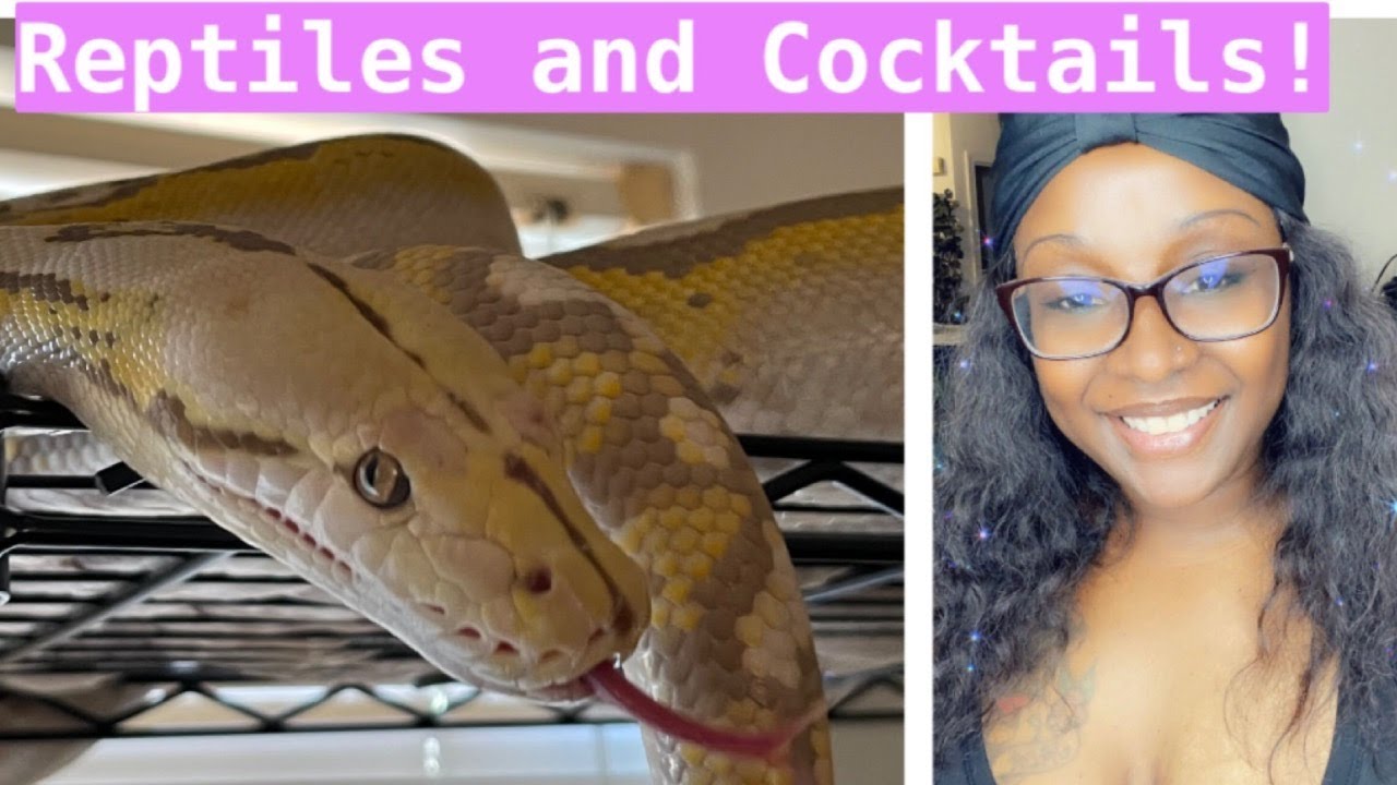 Reptiles and Cocktails-Ep-22-Mike Stefani/Mike’s Monitors - YouTube