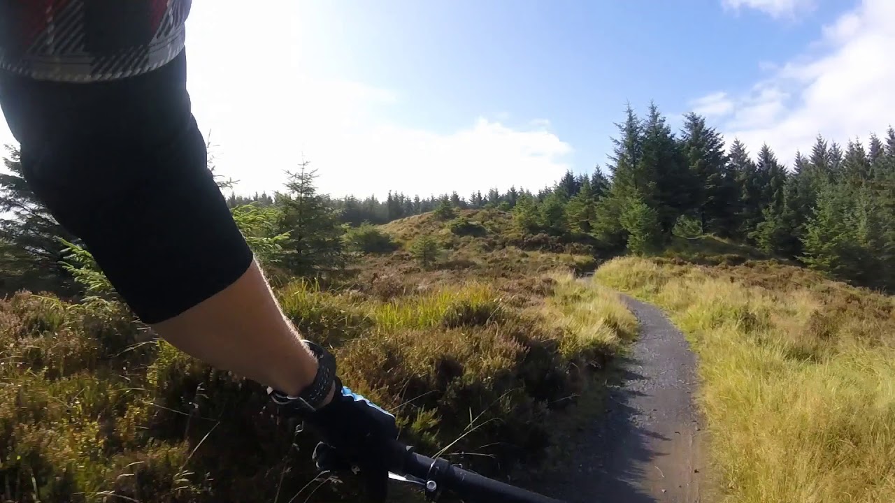 Stream Trail, Davagh Forest Trails, Northern Ireland - YouTube