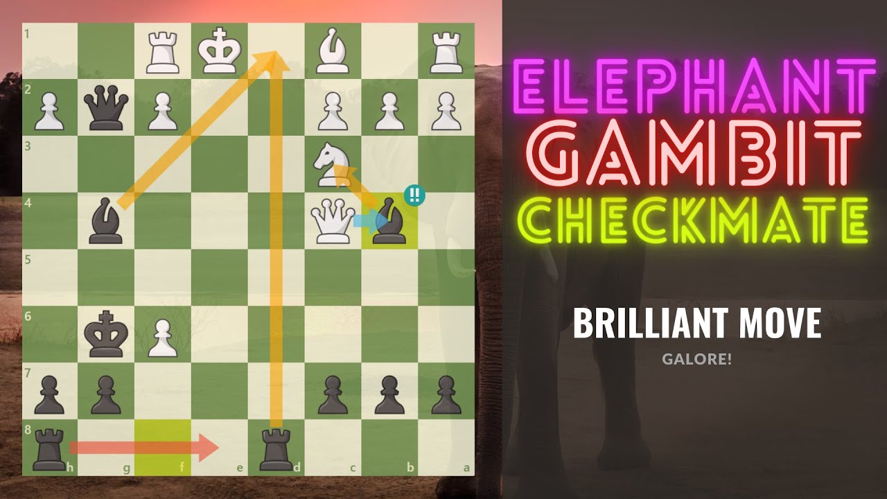 3 Elephant Gambit Brilliancies Leading to Checkmate! - YouTube