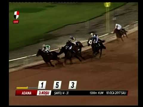 (5) PERSHING - Salı, 10 Ocak 2017 - Adana 3. Koşu - ŞARTLI 4 /X - 3 Yaşlı İngilizler - At No: 1