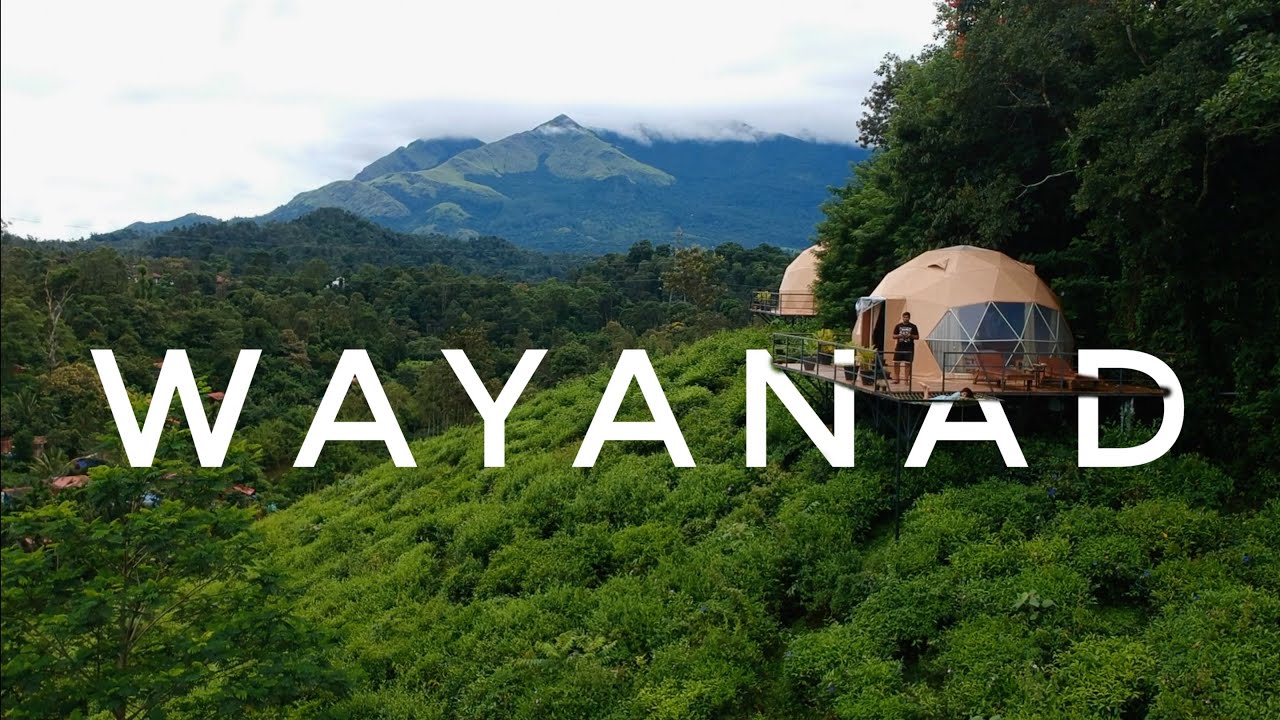 Bangalore to Wayanad | dome stay at Hipnoetic Stays | Moto Vlog KTM 390 ...