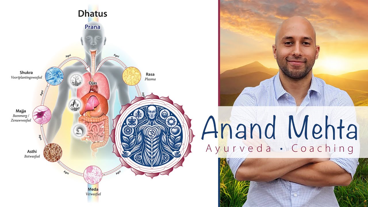 Ayurveda - Understanding the 7 Dhatus (Body tissues) that shape our ...