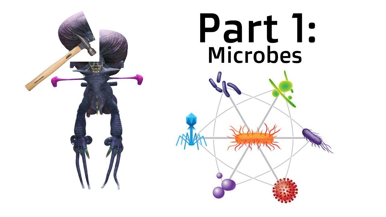 How to Build an Alien: Episode 1 - Microbes - YouTube