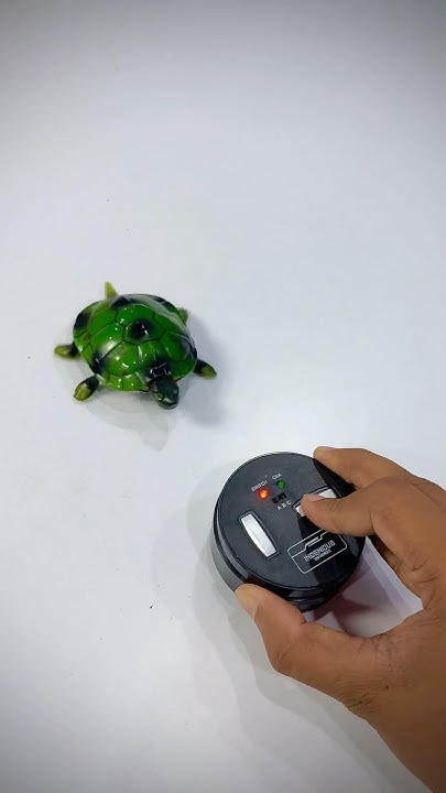 Remote Control Turtle 🐢 Unboxing - YouTube