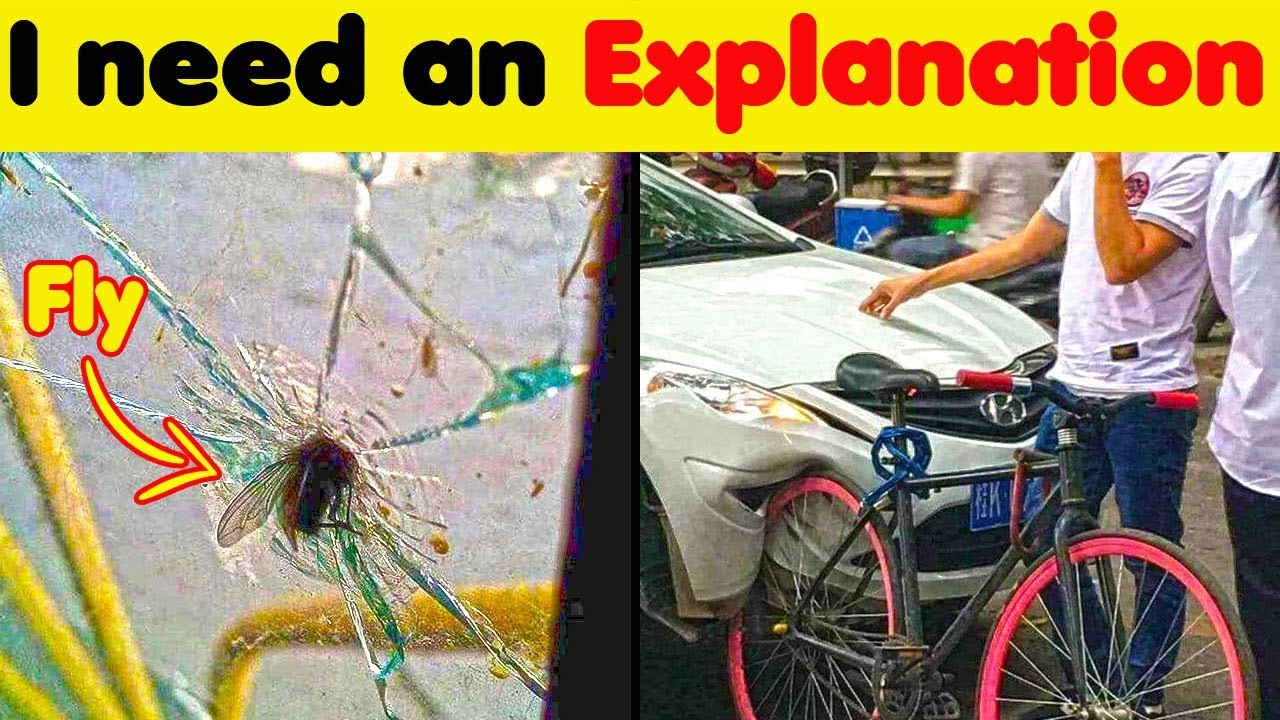 So Many Questions..So Little Answers 🤔🤔🤔🤔🤔 - YouTube