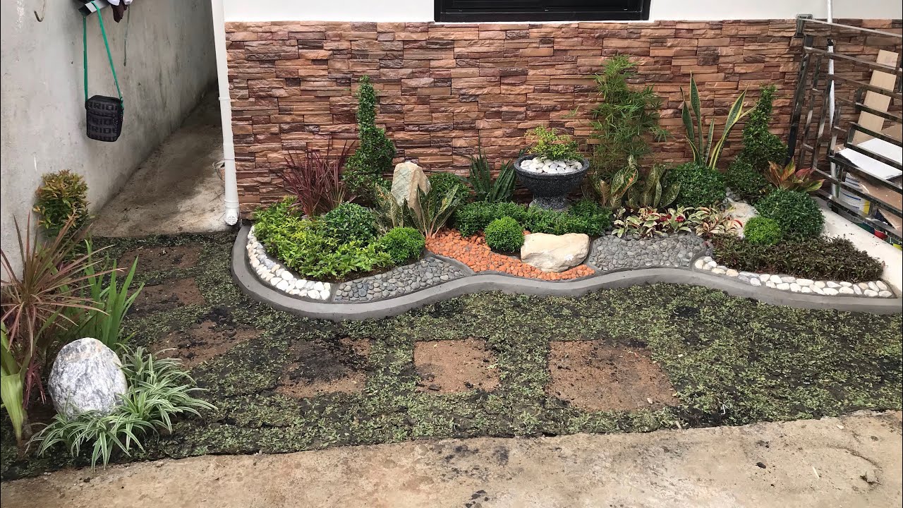 Day 2 how to planting grass or frog grass #gardening #jerardlandscaping ...