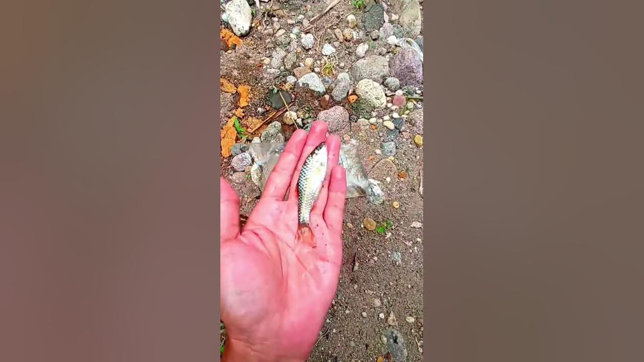 Sambil ngabuburit mancing disini - YouTube