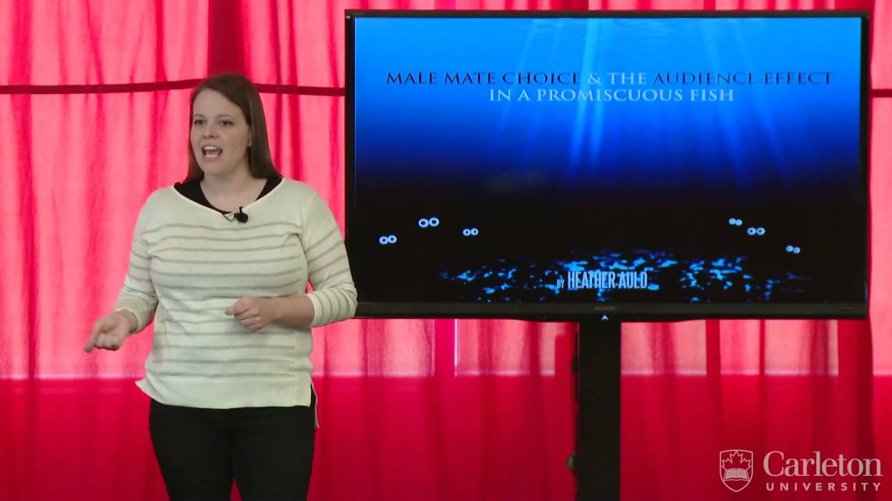 Carleton 3MT 2014 - Heather Auld - YouTube