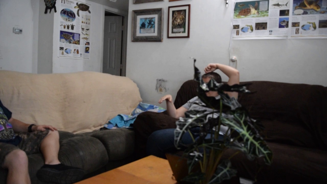 Cognitive behavioral role play - YouTube