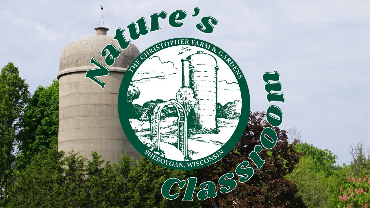 Nature's Classroom Episode 1: Signs of Fall - YouTube