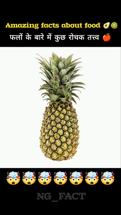 Top 10 Hinden Facts About Food 🥝🥑 Amazing Facts About Food 🥑 Mind