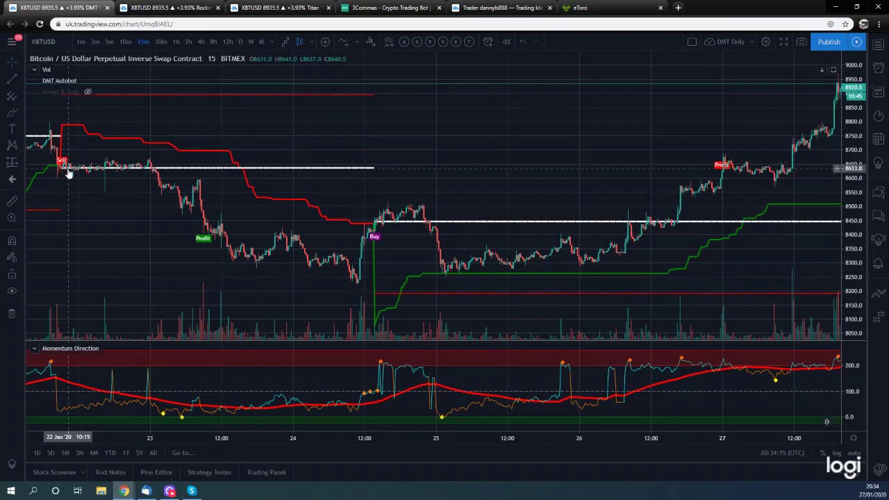 OMG! Beautiful Bitmex PROFITS! This is why I love my DMT Automated Bot ...