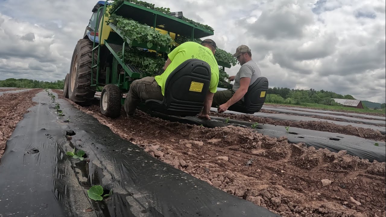 USING AN INTERESTING PLANTING TOOL ON OUR VEGETABLE FARM - YouTube
