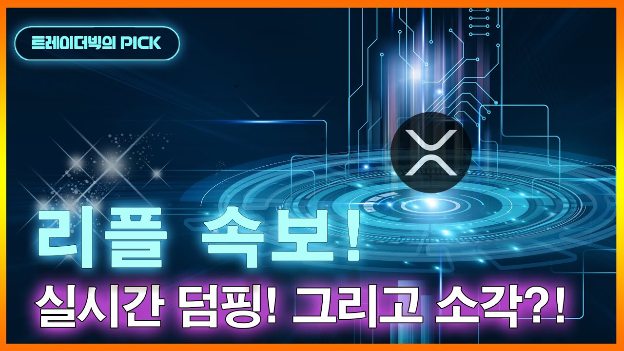 리플 속보 실시간 덤핑에 소각까지 리플코인 리플 리플코인시세 비트코인호재 비트코인급등 비트코인시세 웰시투자그룹