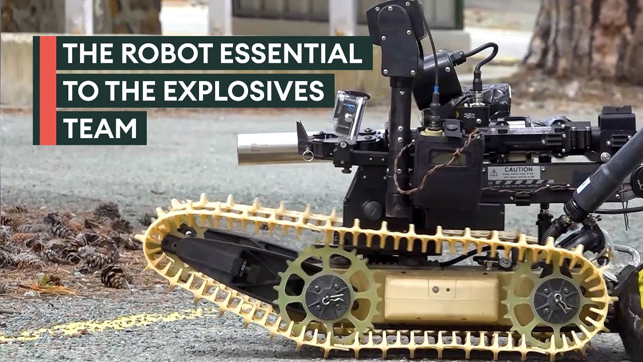 Dragon Runner and Puma: The top team keeping Cyprus bases safe from ...