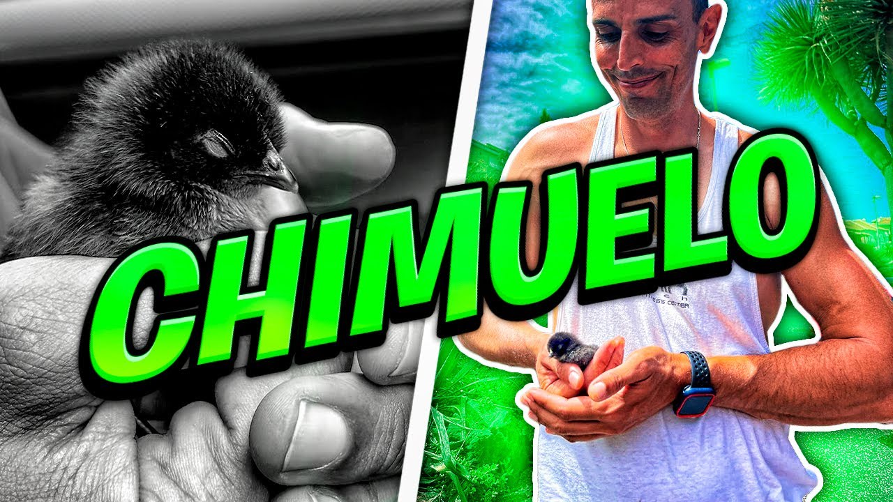 LA LEYENDA DE CHIMUELO: EL MULTIVERSO | Unpolloclaro - YouTube