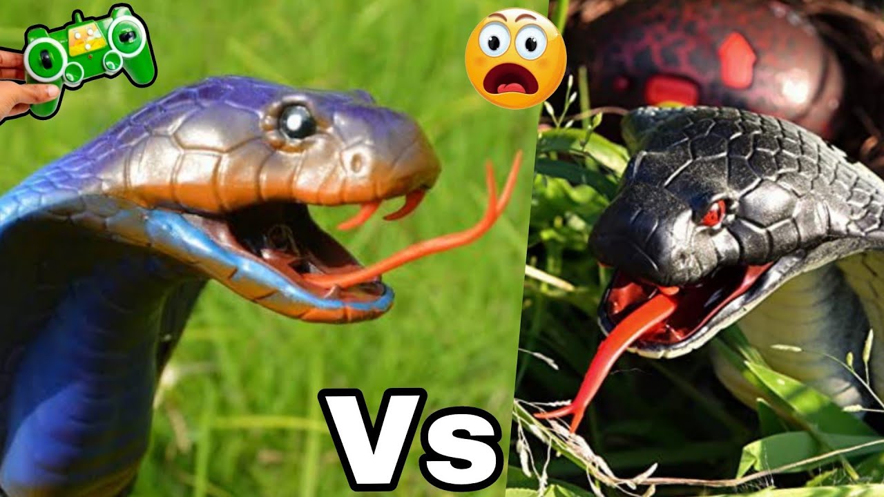 Rc King Cobra Snake Unboxing and Testing | Remote Control Snake - YouTube