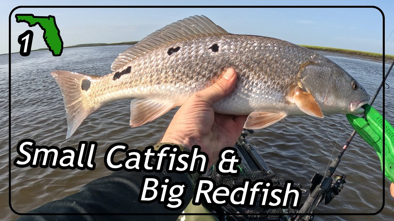 Small Catfish & Big Redfish | Northeast Florida Fishing: Episode 1 ...