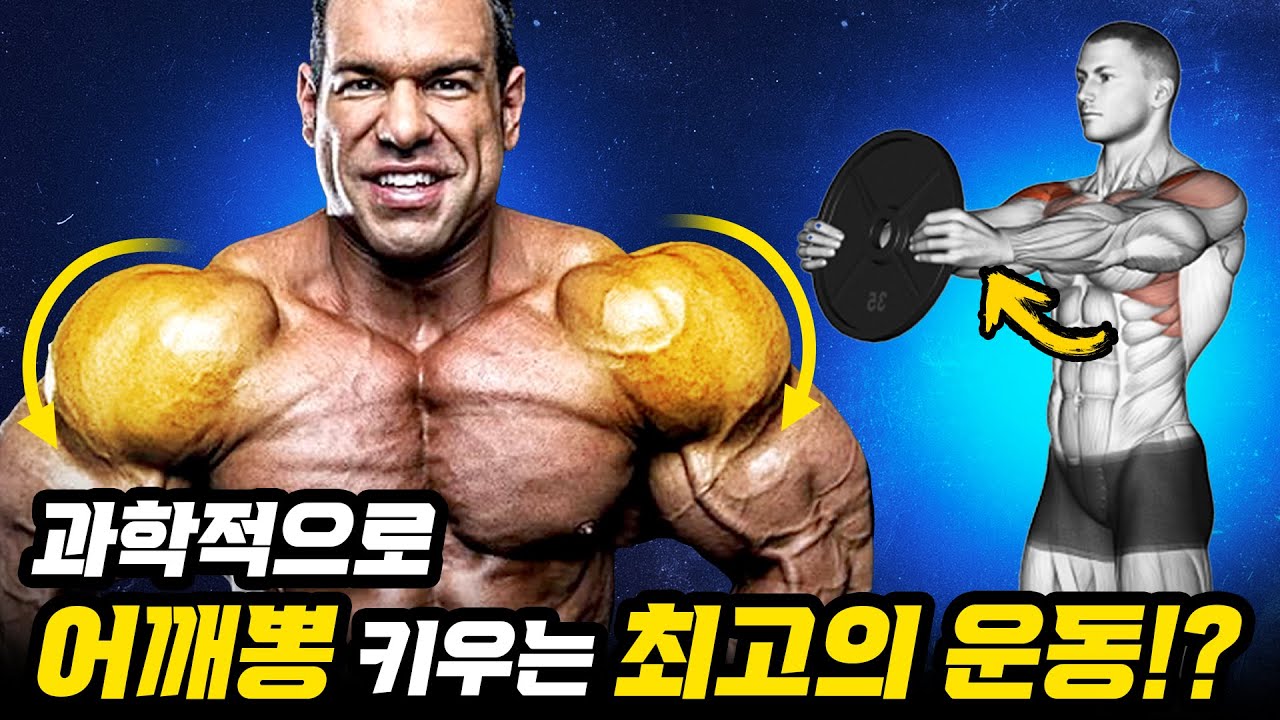 과학적으로 밝혀진 근육 활성도가 가장 높은 어깨 운동 1위는 사레레 자세프론트 레이즈어깨 후면 운동어깨 루틴