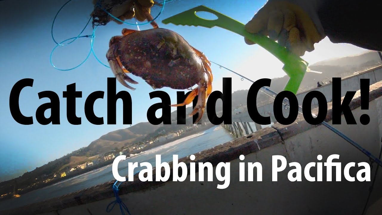 Crabbing in Pacifica. Using Trout as Bait! Catch and Cook! - YouTube